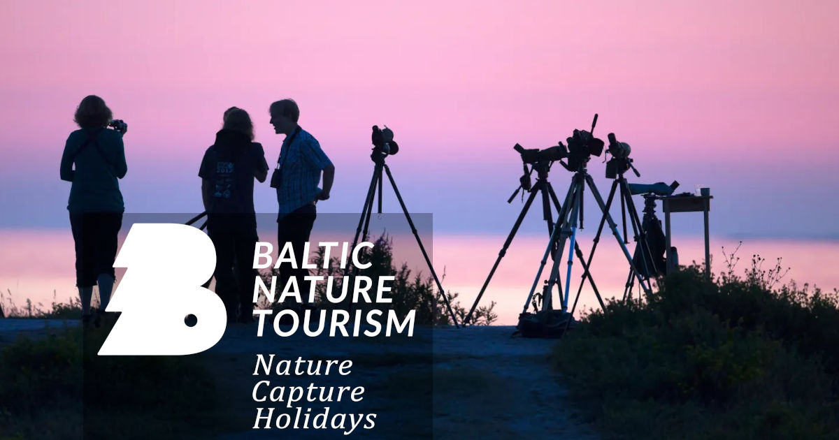 Baltic Nature Tourism - Nature drawing/painting